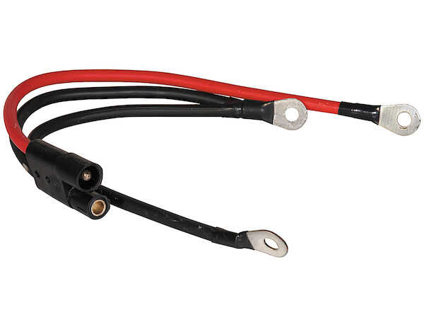 CABLE AND PLUG ASSEMBLY