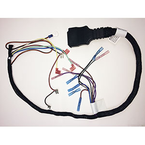 WESTERN PLOW PLUG KIT 12-PIN 49319